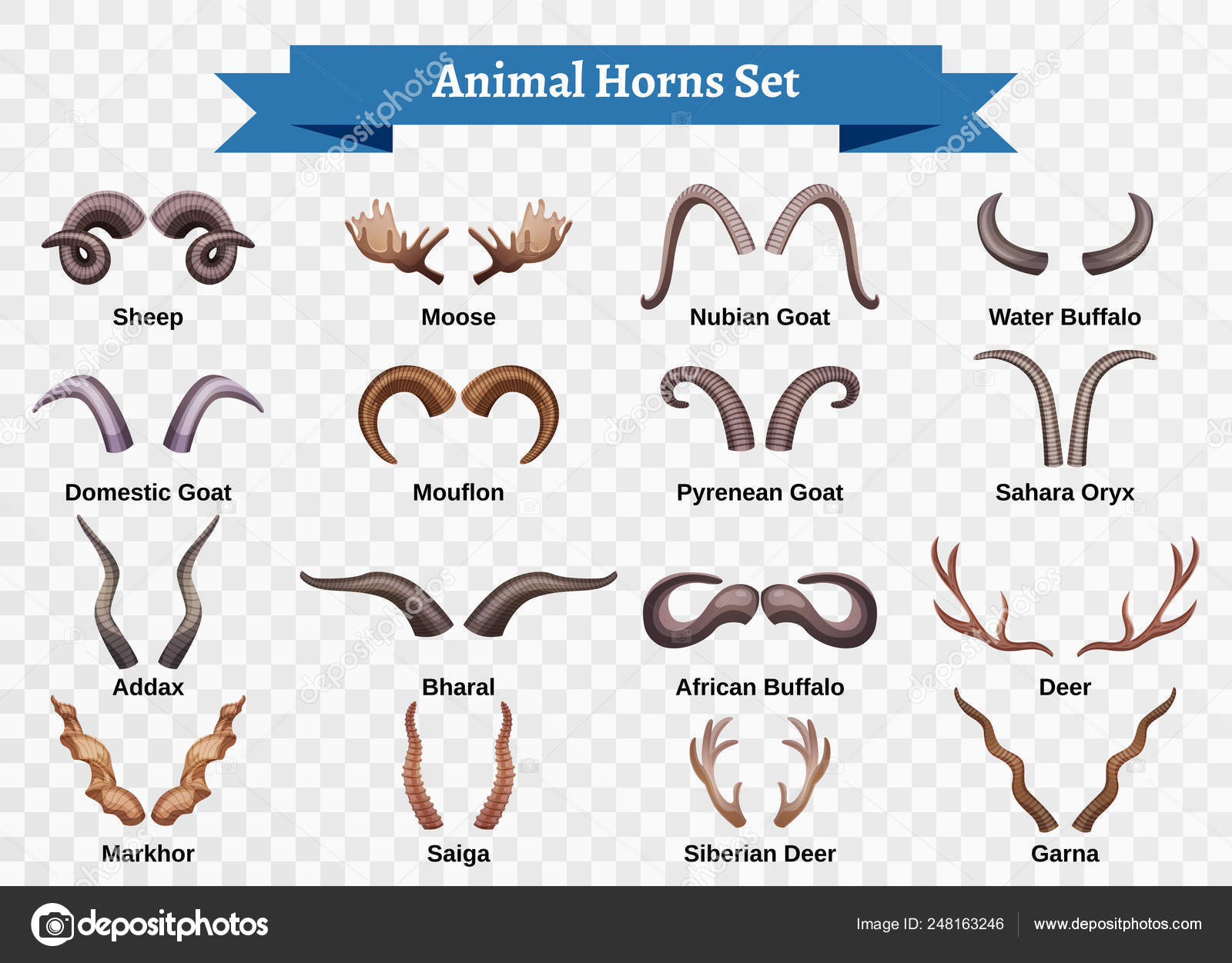 Animal Horns Sticker Set Stock Vector Image by ©macrovector #248163246