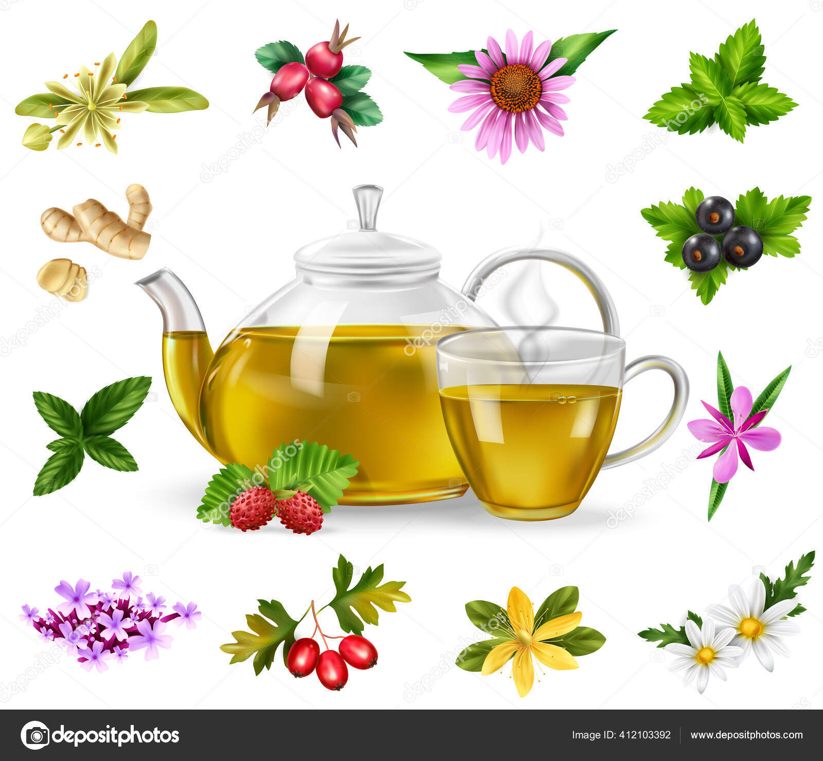 Herbal Tea Set Stock Vector by ©macrovector 412103392