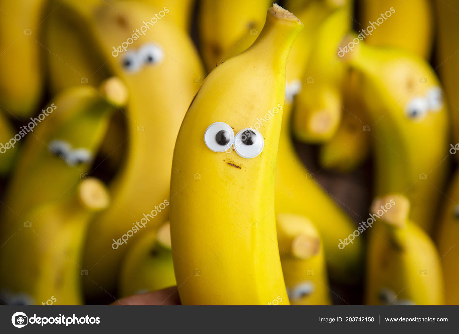 Funny Bananas