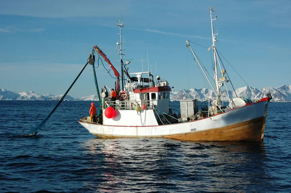 Cod fishing Stock Photos, Royalty Free Cod fishing Images | Depositphotos