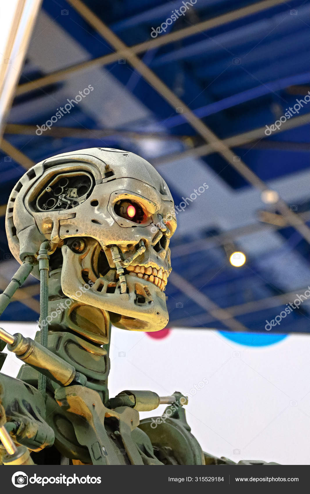 Terminator Endoskeleton Skull