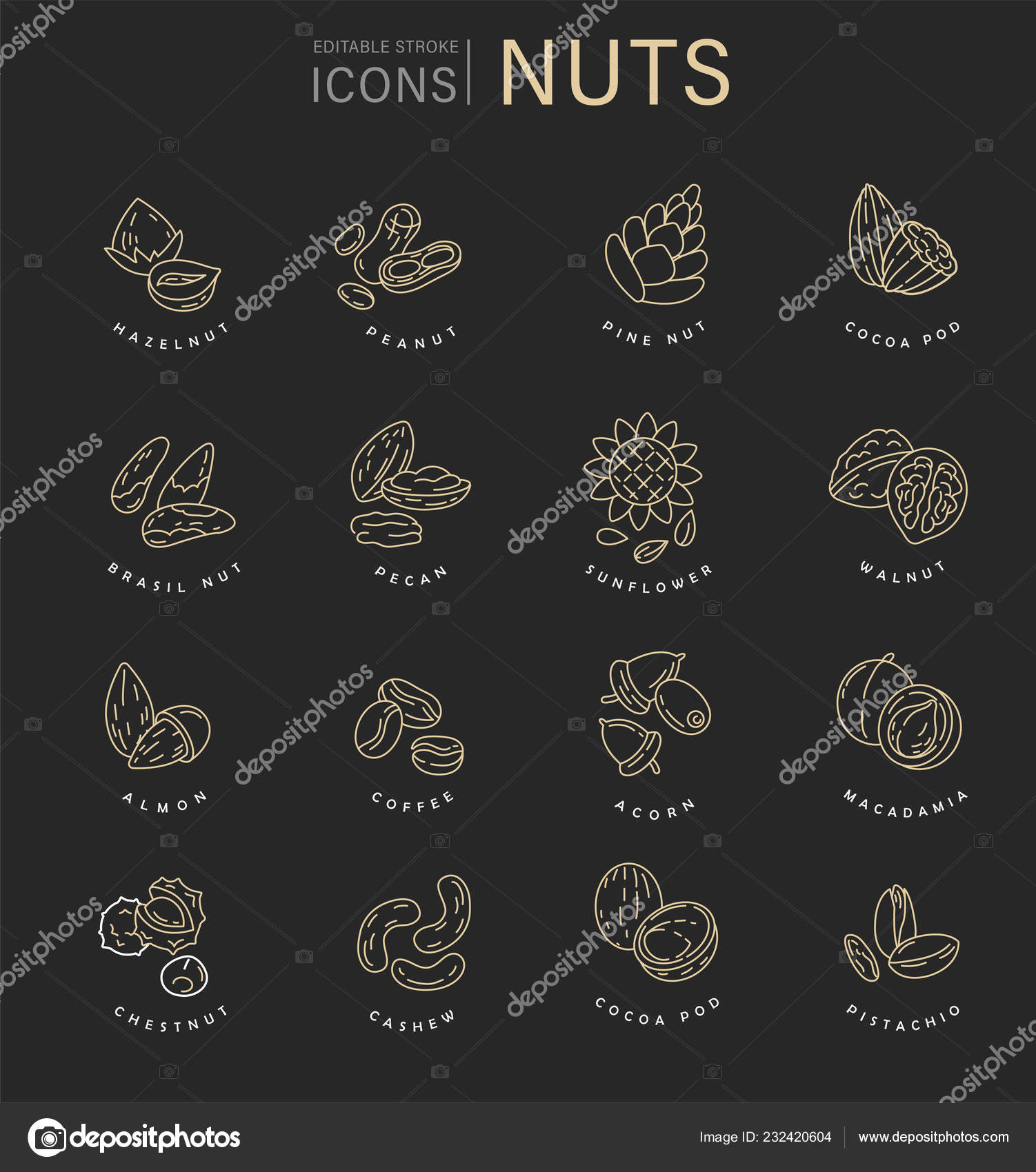 Vector icon and logo for nuts and seeds. Editable outline stroke Stock ...