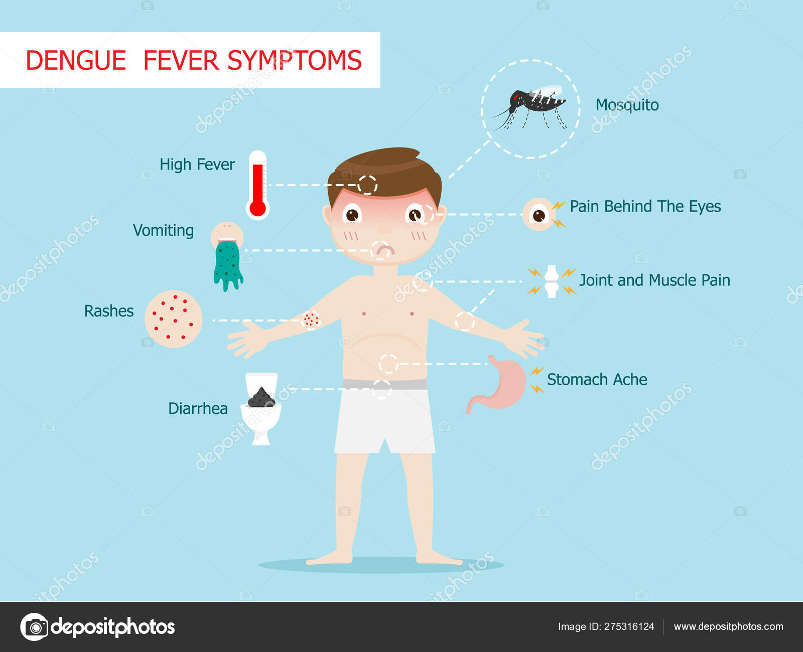 Dengue sintomas febre infográficos imagem vetorial de © manopjk #275316124