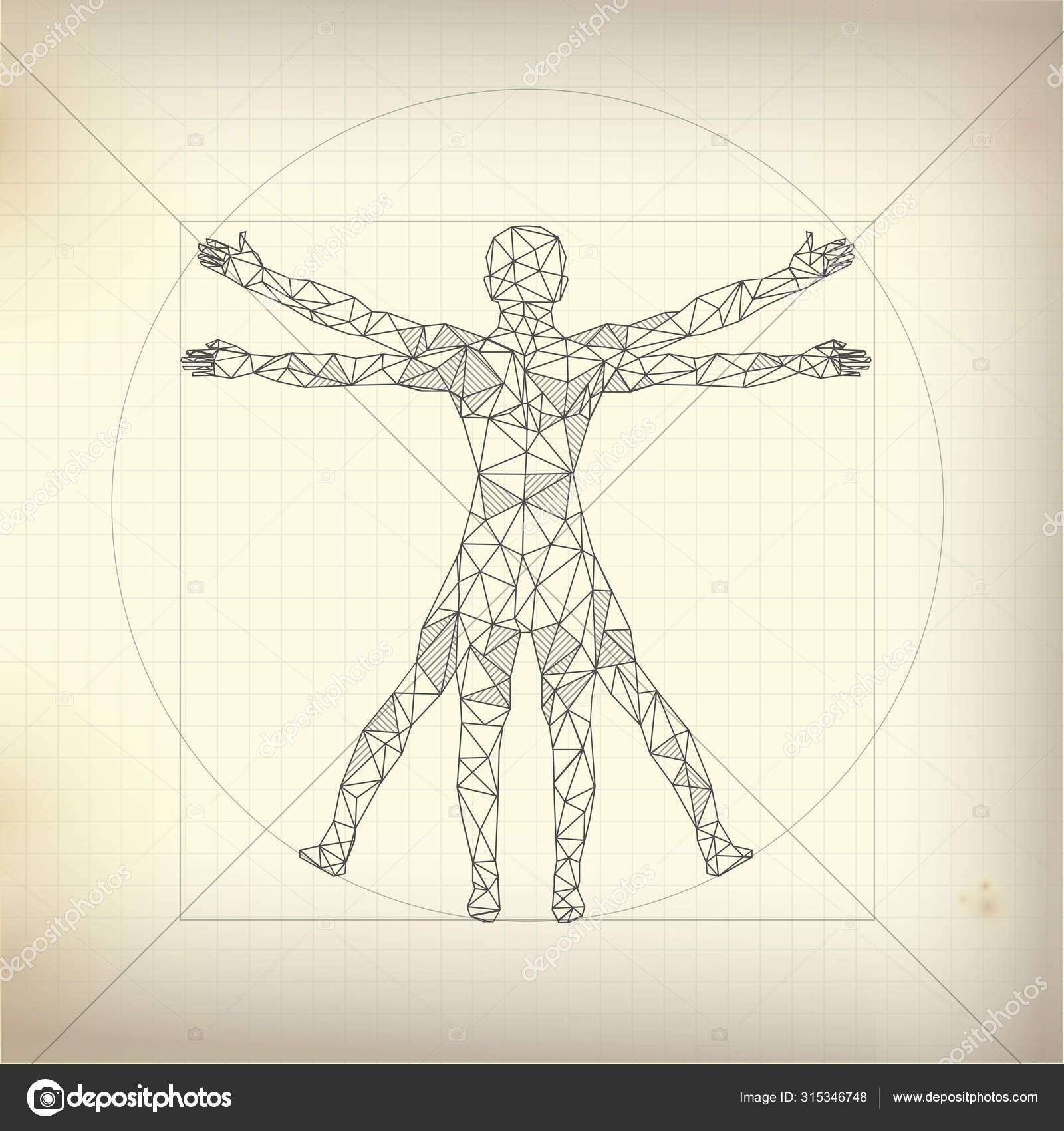 Dibujos De Anatomía Humana De Leonardo Da Vinci