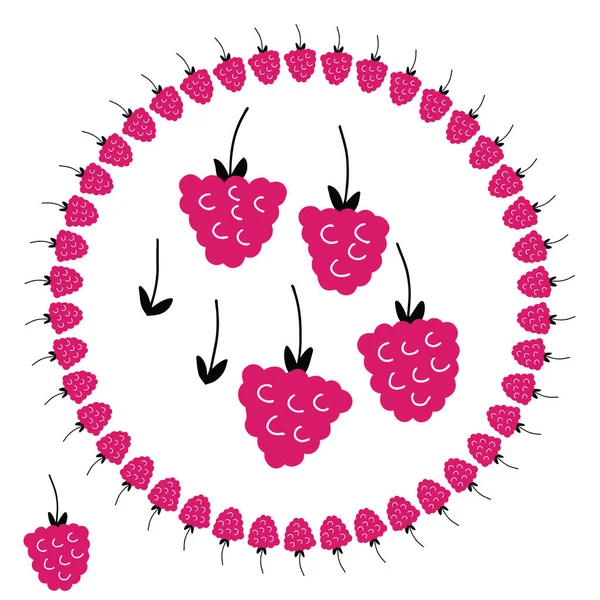 100,000 Circle of raspberries Vector Images | Depositphotos