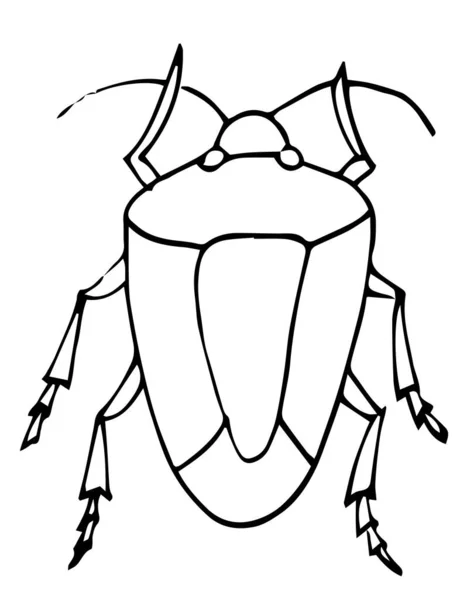 100,000 Bug cartoon outline Vector Images | Depositphotos