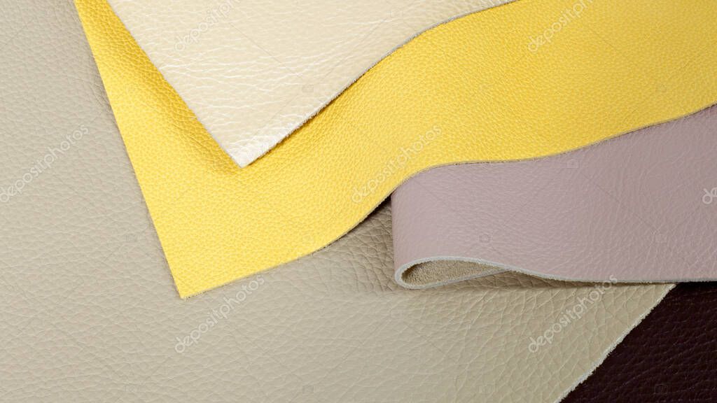 Diferentes colores pastel texturas de cuero natural muestras 2023