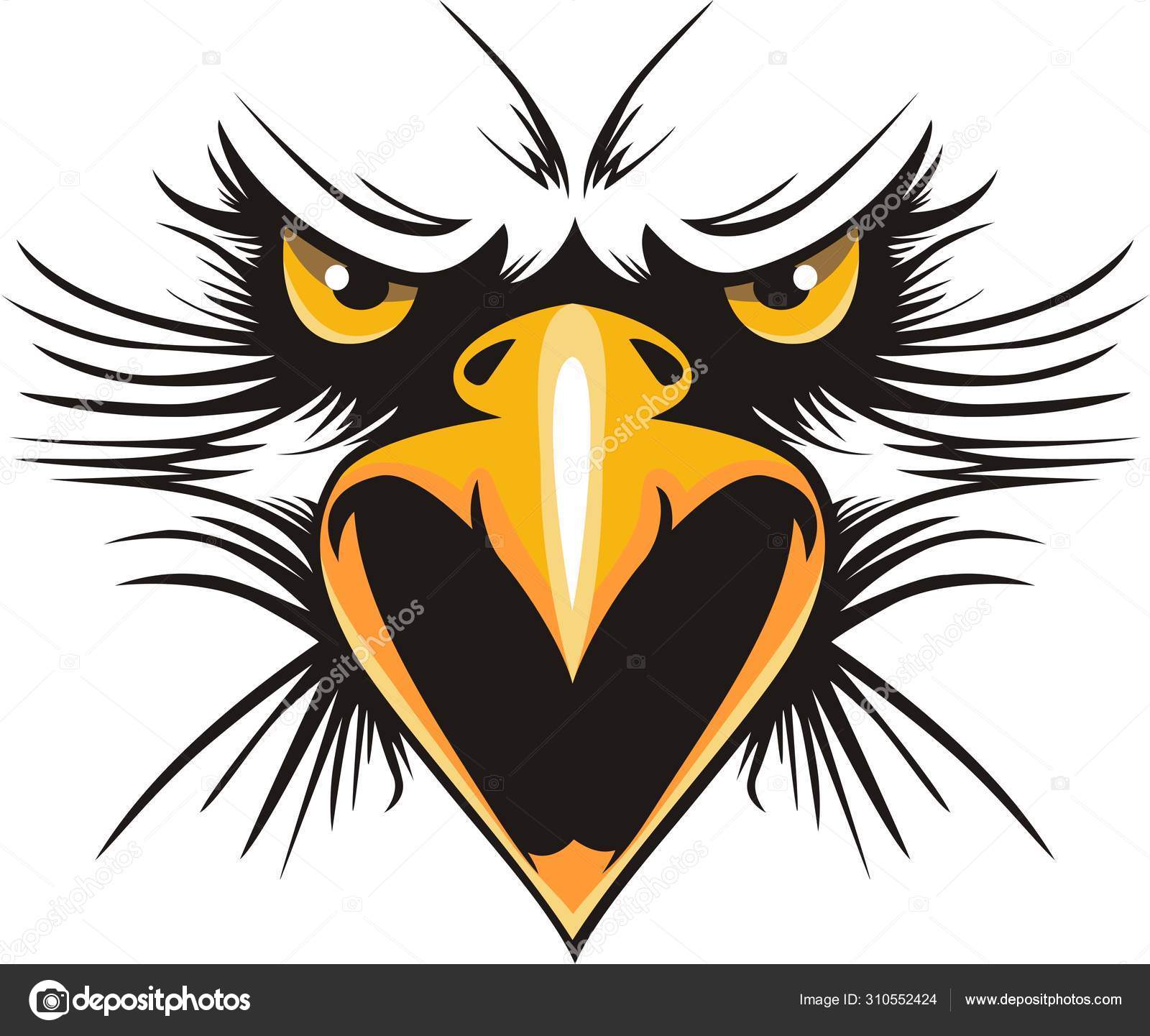 Hawk Head Graphic