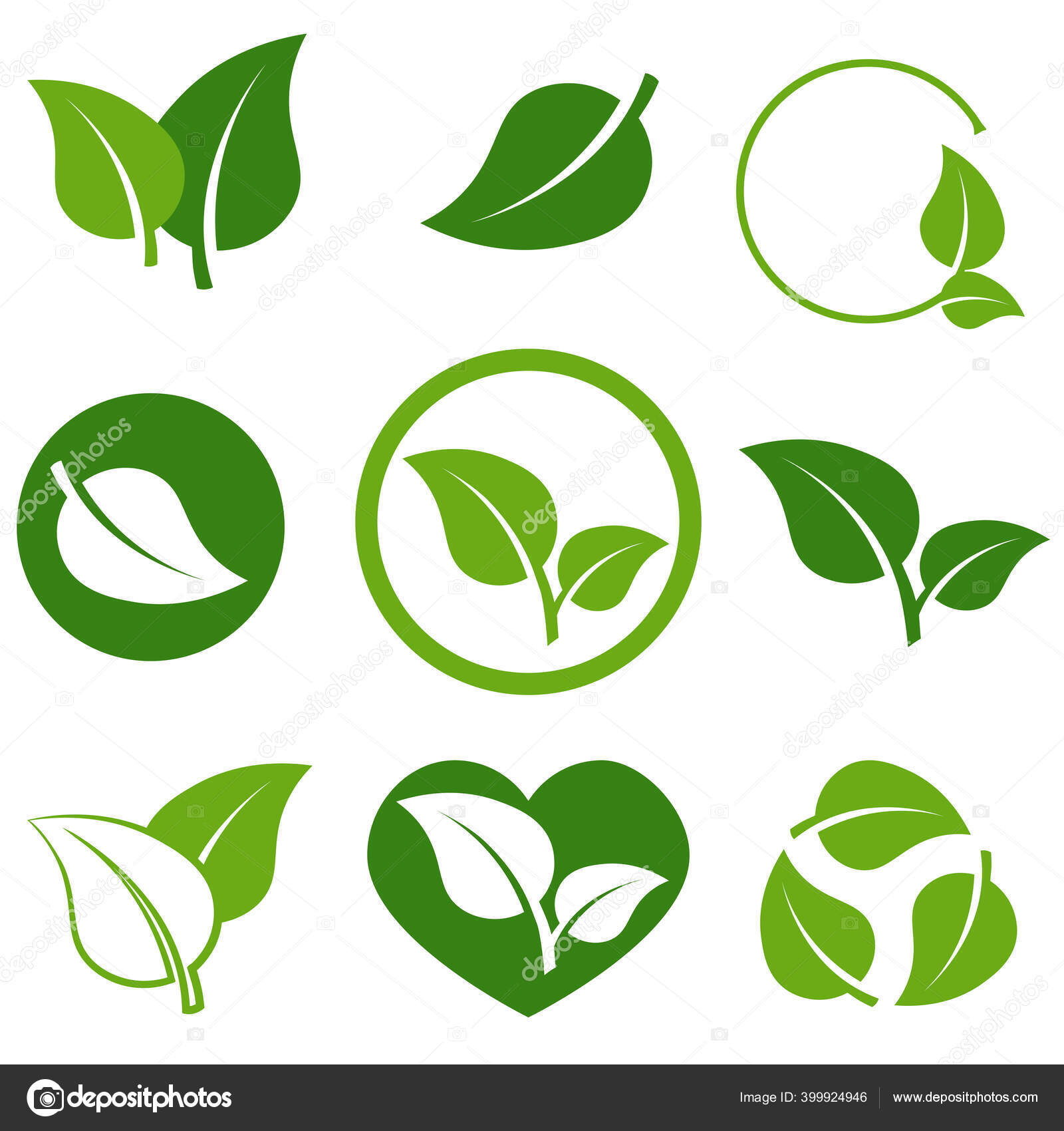 Fresh Green Leaves Icon Set Isolated White Background Green Leaf Stock Vector by ©ziz 399924946