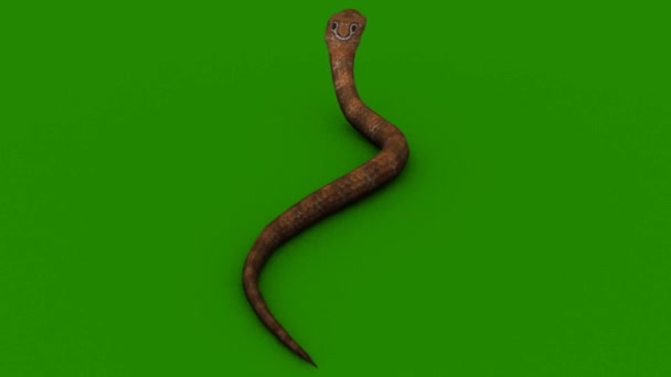 486 Green screen snake Videos, Royalty-free Stock Green screen snake ...