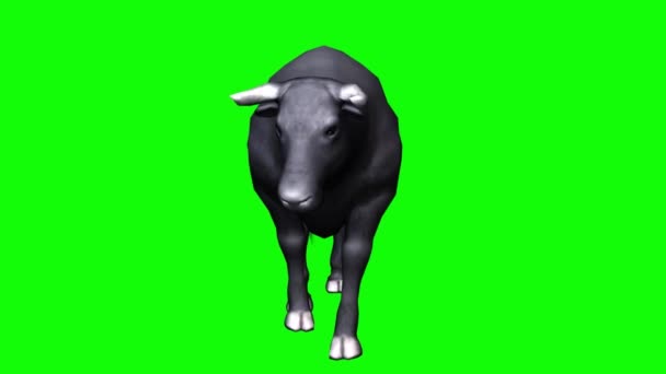Bull Walking Green Screen — Stock Video © plussizefashion2019.gmail.com ...