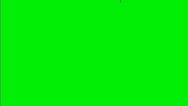 5,622 Fire green screen Videos, Royalty-free Stock Fire green screen ...