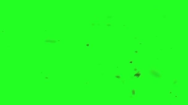 18 Bee green screen Stock Videos, 4K & HD Footage | Depositphotos