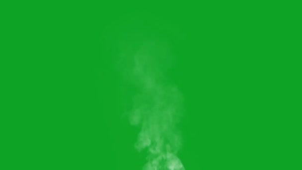 White Smoke Effect Green Screen — Stock Video © plussizefashion2019 ...