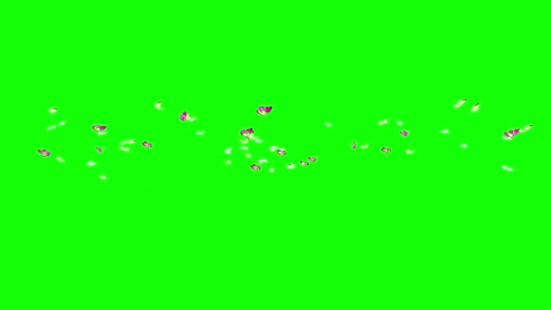 1,202 Insect green screen Videos, Royalty-free Stock Insect green ...