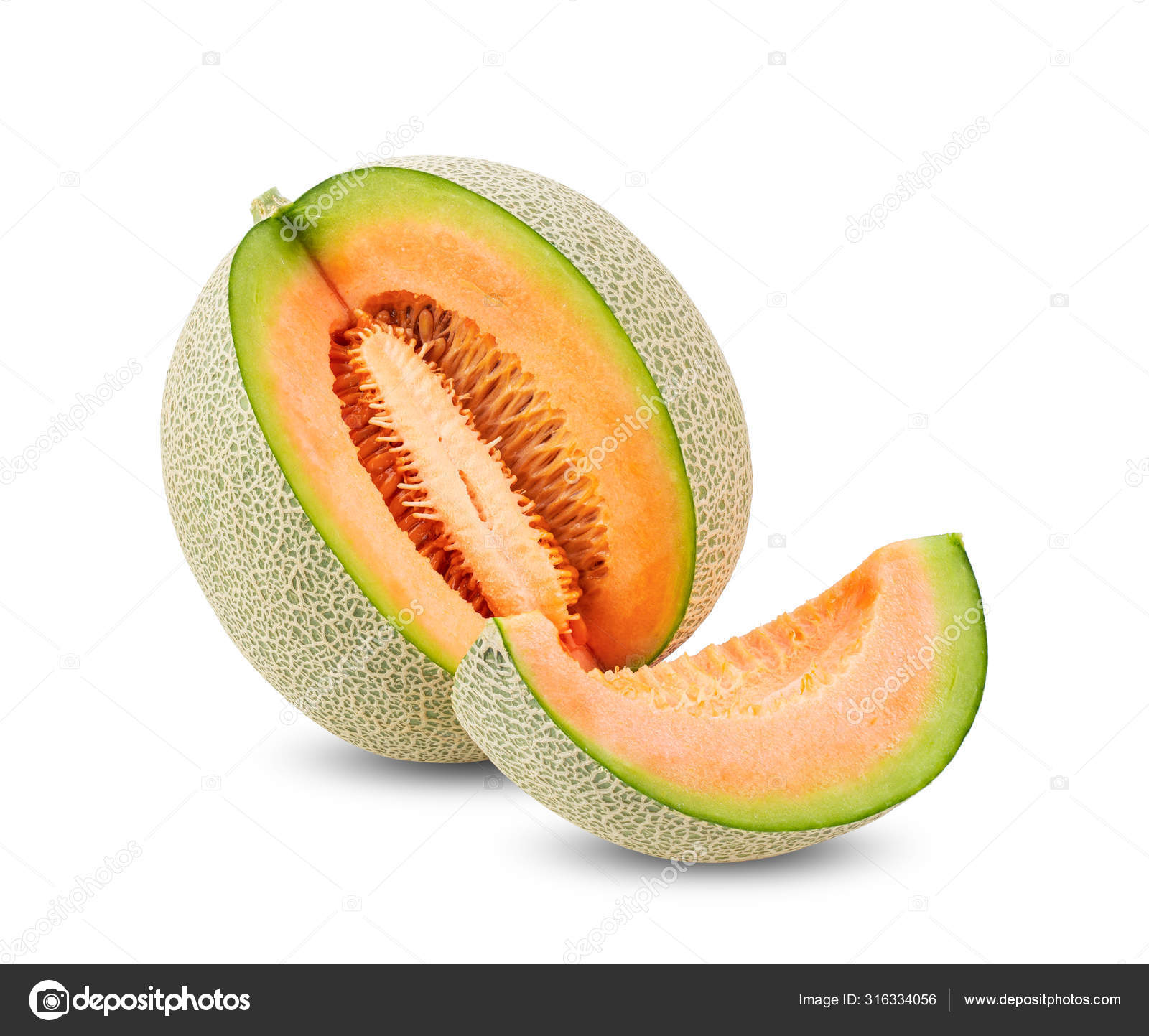 Honeydew Melon Slice