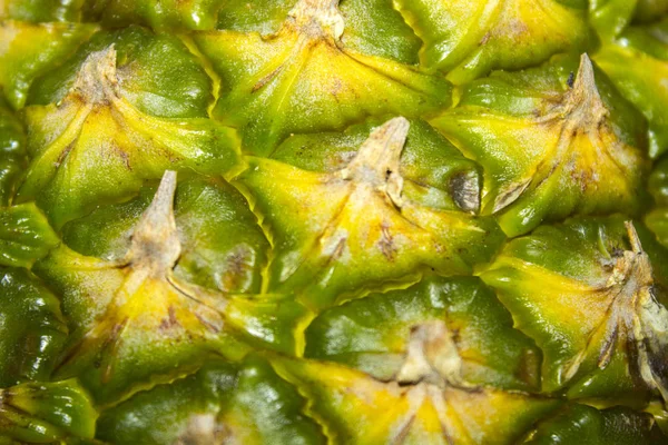 Spiny fruit Stock Photos, Royalty Free Spiny fruit Images | Depositphotos