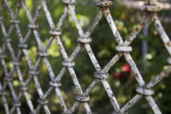 Metal garden fence Stock Photos, Royalty Free Metal garden fence Images ...