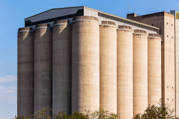 Agriculture grain silos tall storage maize wheat tanks building ...
