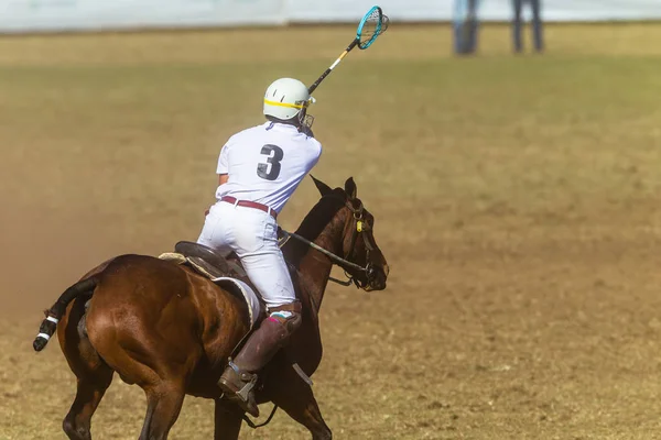Polo rider Stock Photos, Royalty Free Polo rider Images | Depositphotos