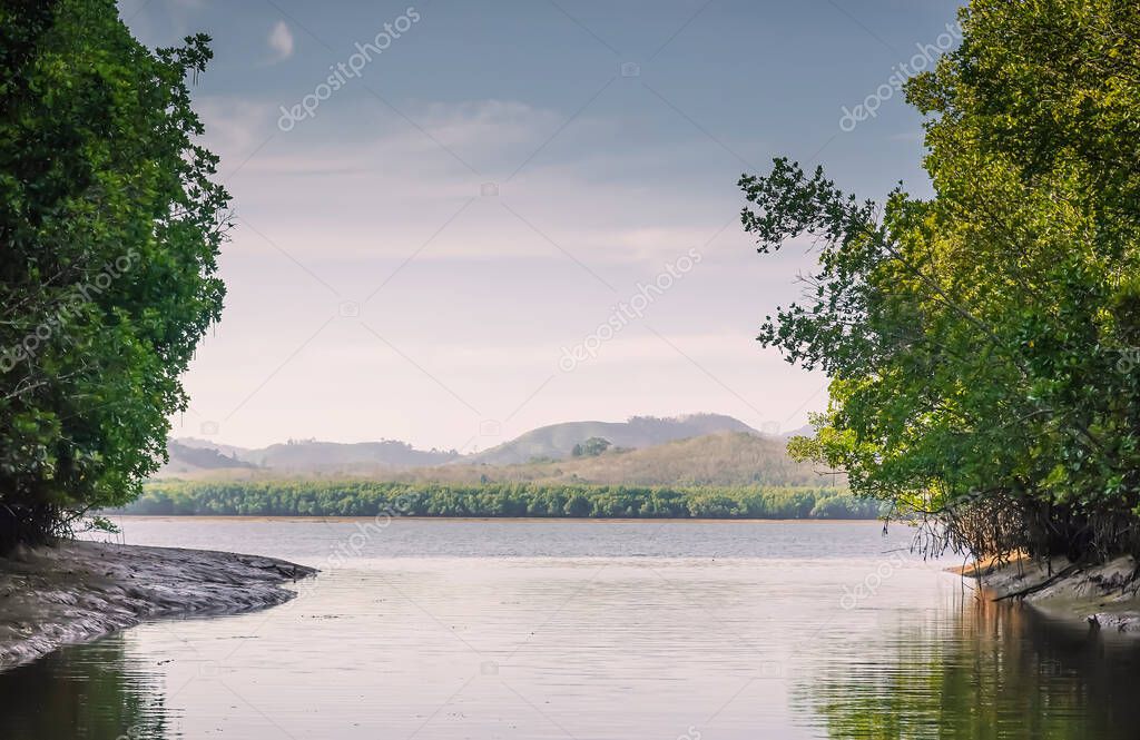 Hermoso paisaje natural de río en el sudeste de Asia bosque verde ...