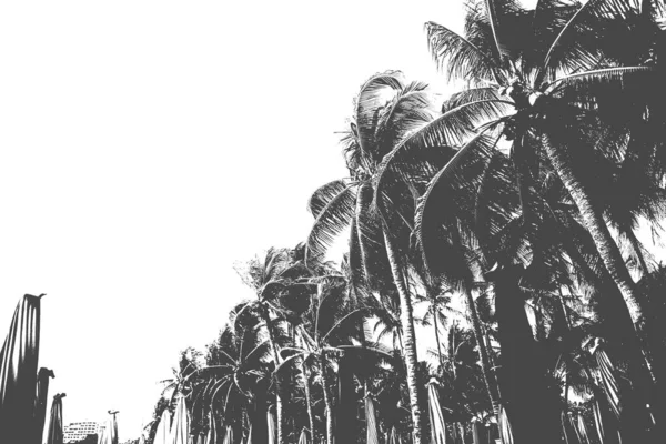 Twenteland Stock Photos, Royalty Free Twenteland Images | Depositphotos