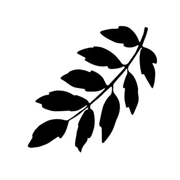 21,424,998 Rowan symbol Vector Images | Depositphotos