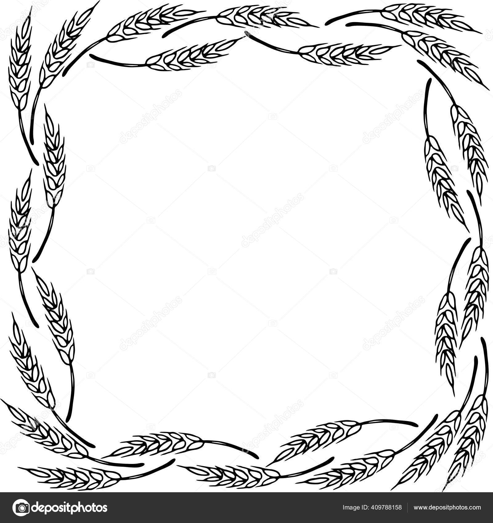 Wheat Vector Border