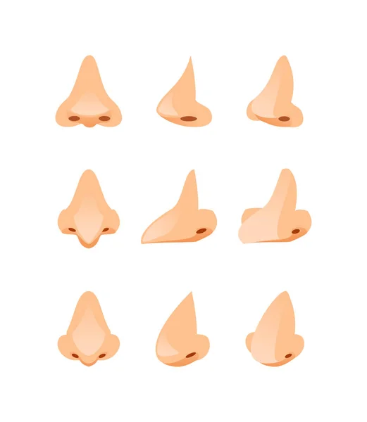 ᐈ Different types of cartoon noses stock vectors, Royalty Free ...