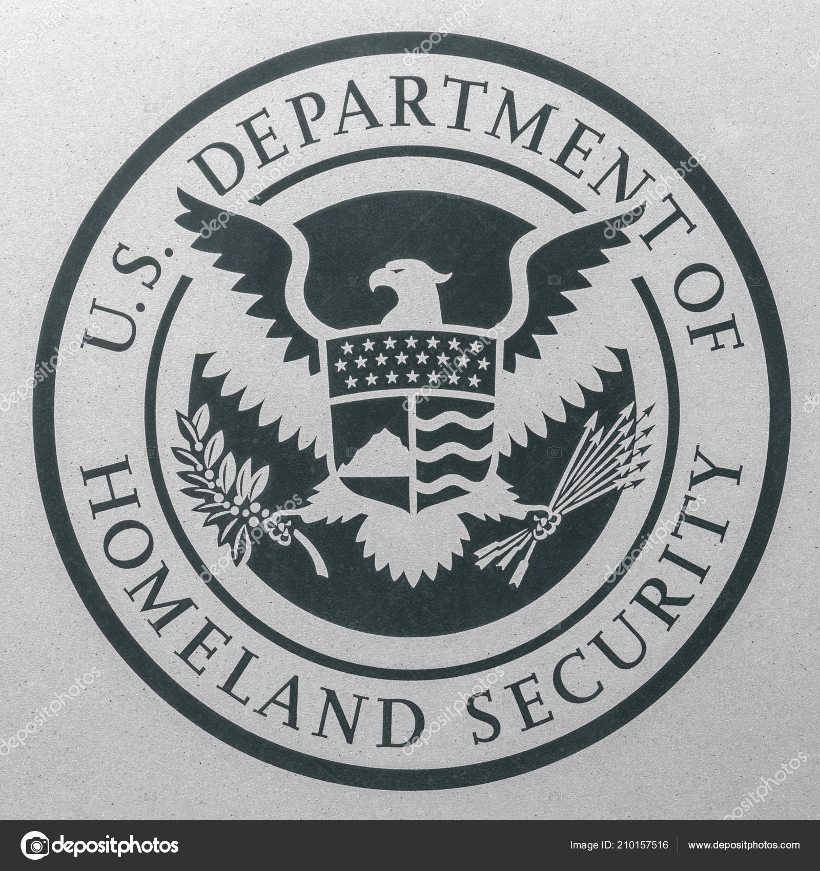 Dhs Ice Logo