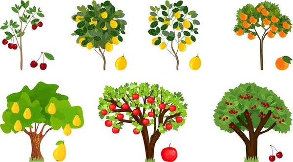 Fruit Tree Clip Art