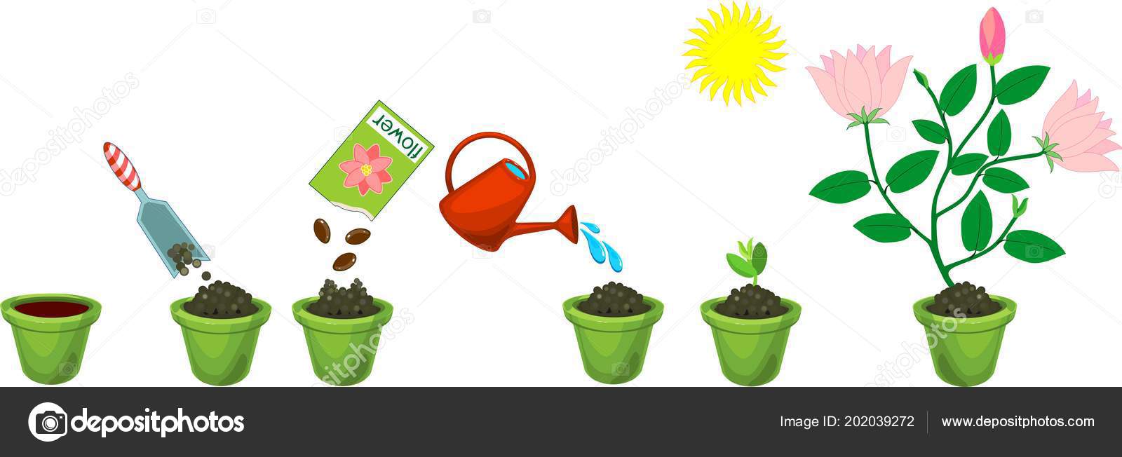Instructions How Plant Flower Six Easy Steps Step Step Stock Vector by ...