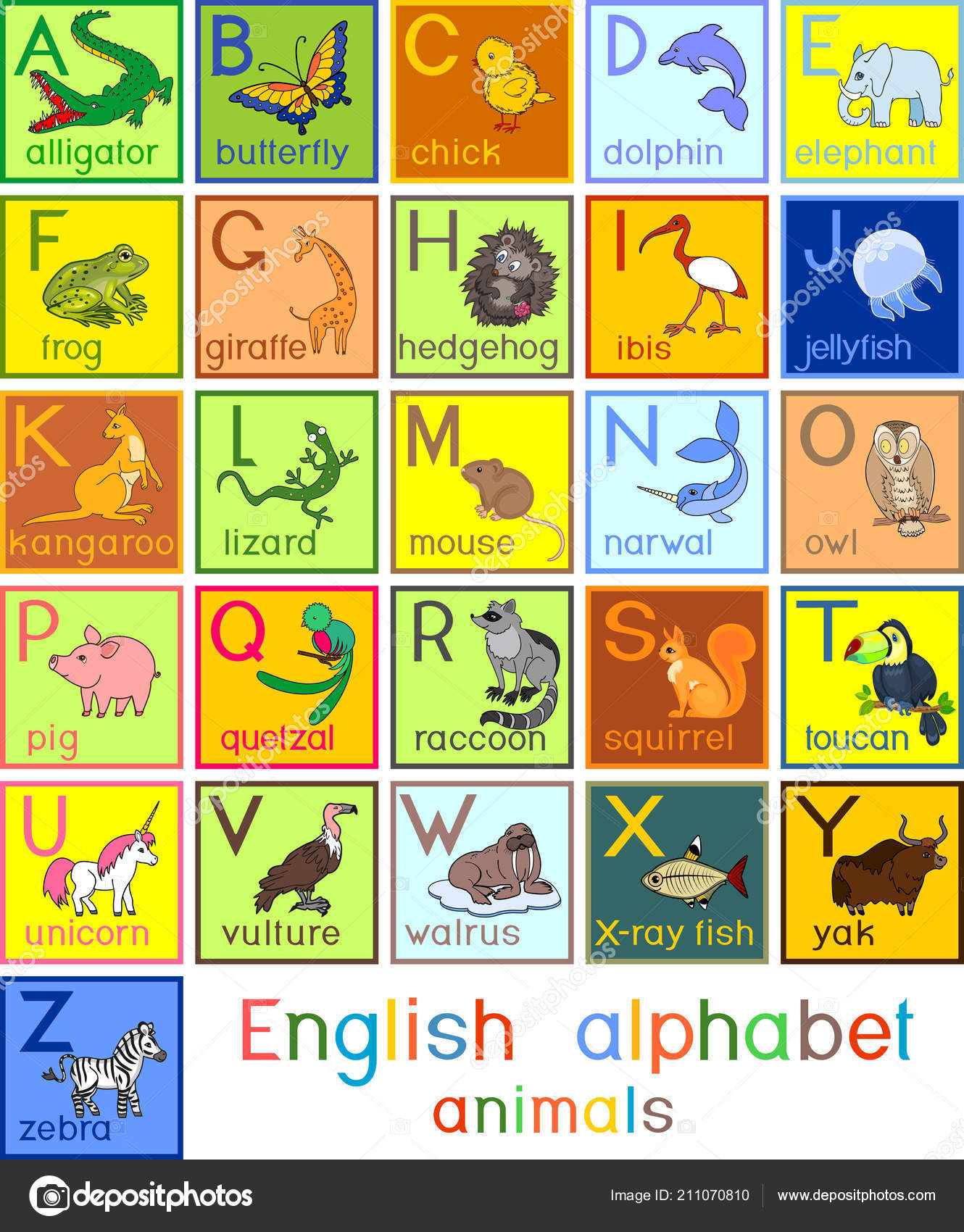 Engelse Foto's Voor Kinderen 12 Stks/set 0 8 Jaar Oud Engels Boek Voor