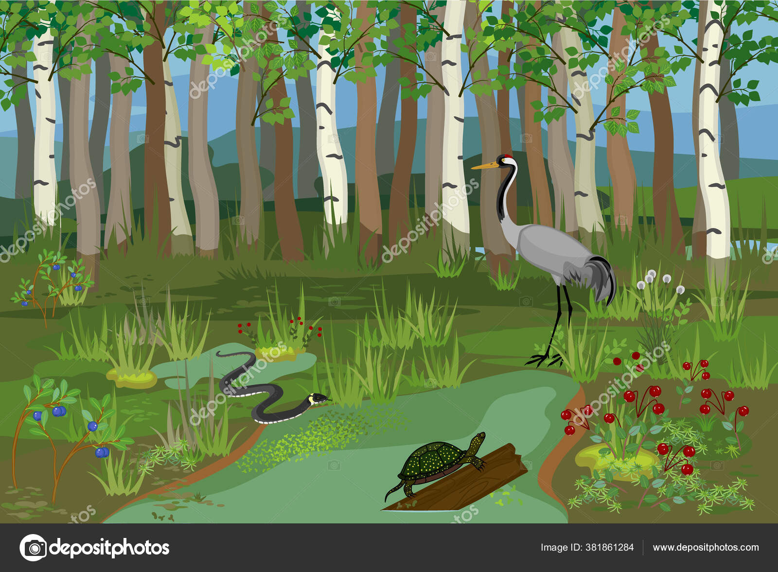 Wetland Animals And Plants For Kids