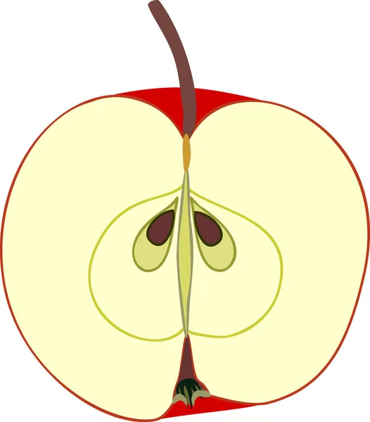 Fruits on the plate Stock Vector Image by ©natocka #11909324