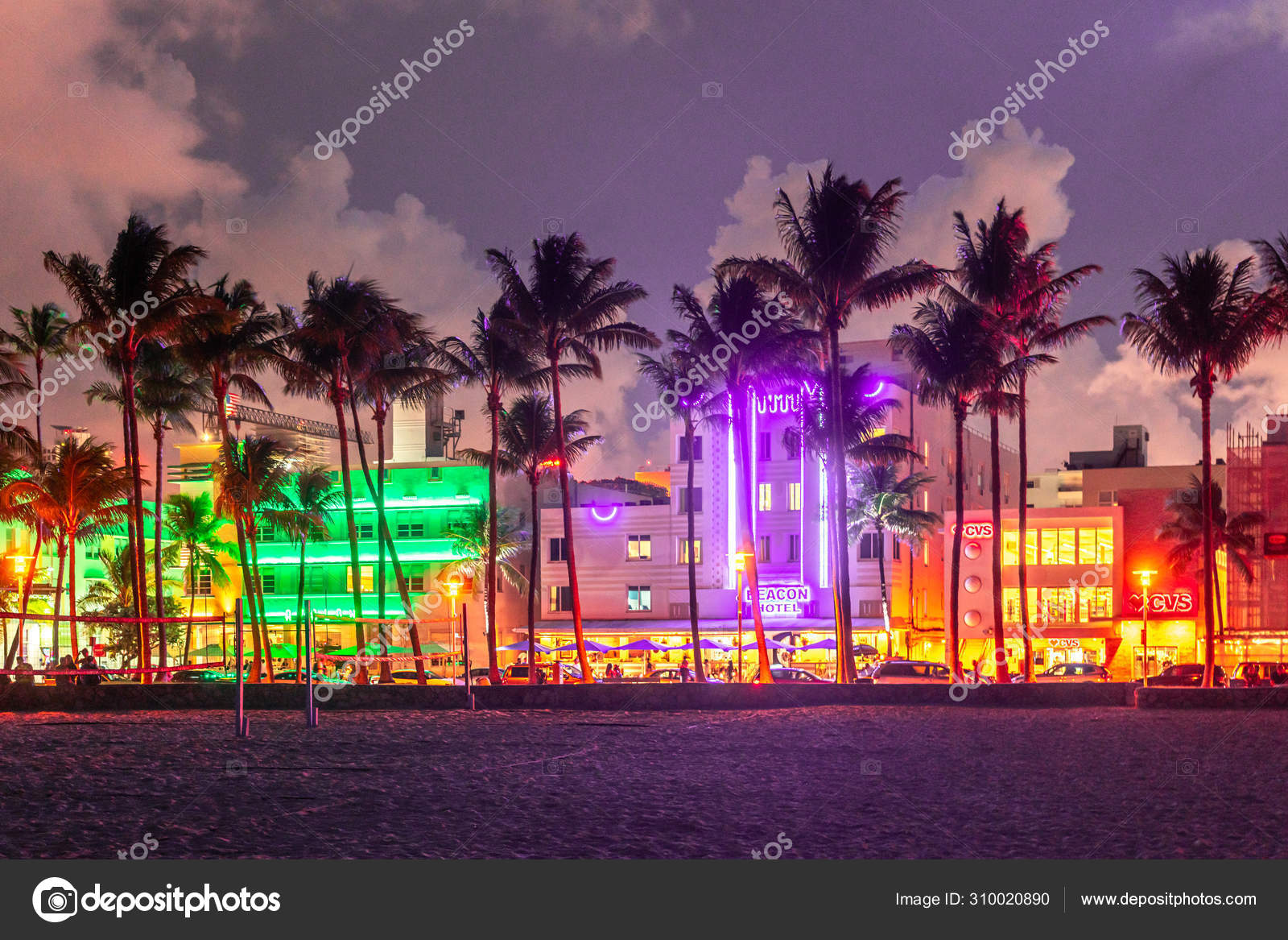 Palm Trees Sunset City