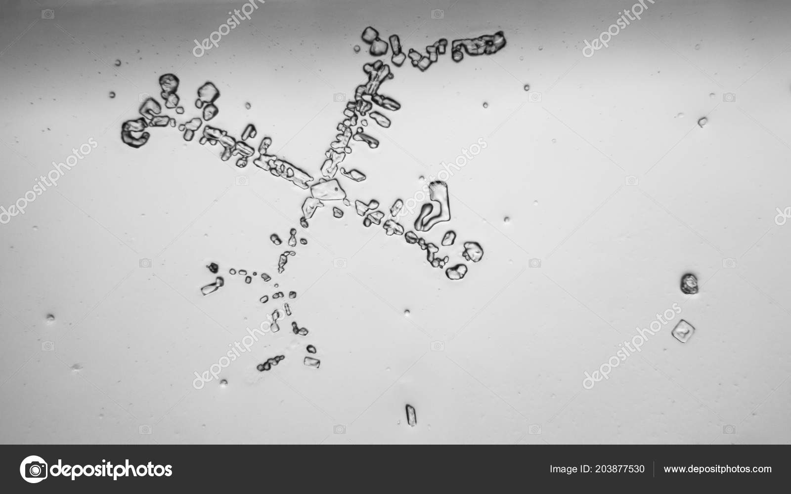 Tears Viewed Microscope Magnification 100 1000X Stock Photo by ©ileana ...