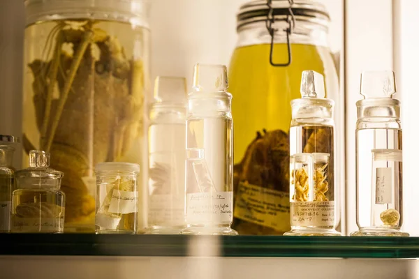 Victorian laboratory Stock Photos, Royalty Free Victorian laboratory ...