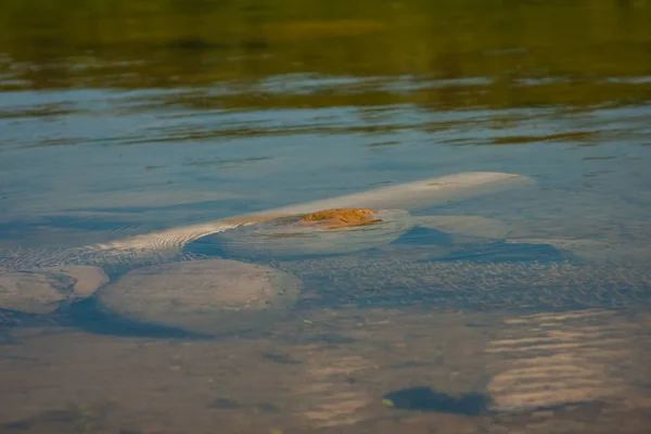 Zwevend puin Stock Photos, Royalty Free Zwevend puin Images | Depositphotos