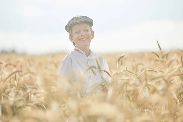 Boy with farm Stock Photos, Royalty Free Boy with farm Images ...