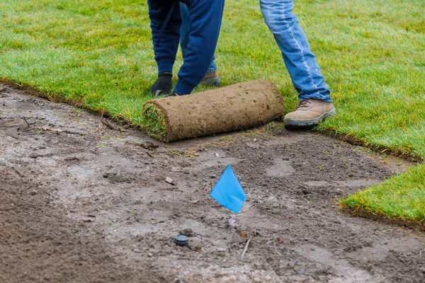 Man Laying Grass Green Rolls New Garden Lawn — Stock Photo © photovs ...