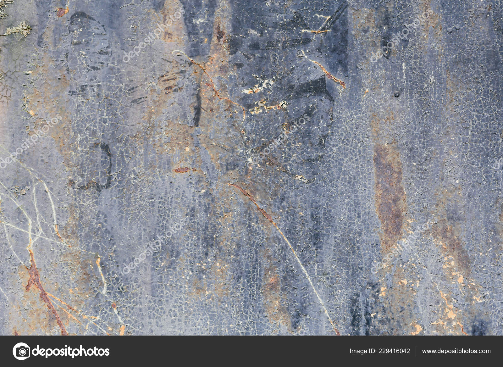 Texture Old Grey Walls — Stock Photo © yfcnz1799 #229416042