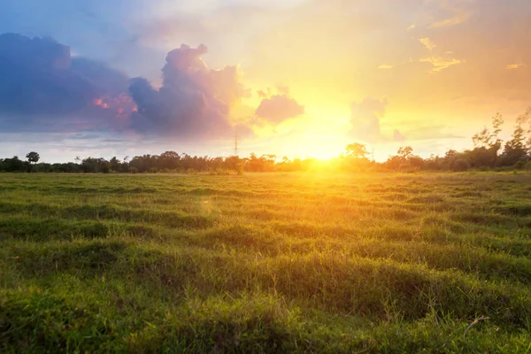 Open Field At Sunset