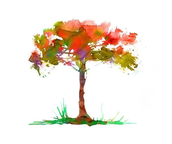 Watercolor tree of wisteria Stock Photo by ©uliyagrish.gmail.com 155935328