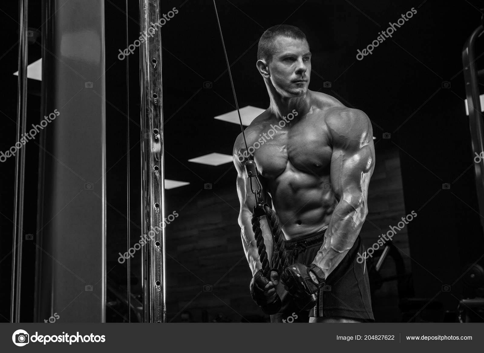 Man Trains Gym Training Biceps Barbell Stock Photo by ©roman.l.olegovic ...