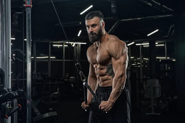 Attractive Tall Muscular Bodybuilder Doing Heavy Deadlifts Moder ...