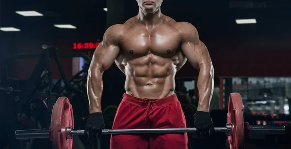 handsome man with big muscles trains in the gym, exercises - Stock ...