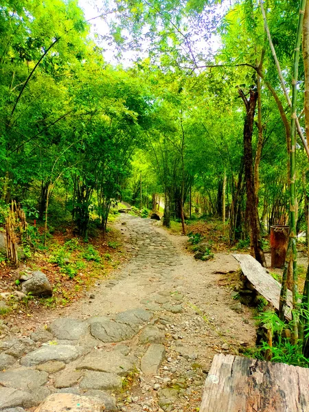 Walking long path Stock Photos, Royalty Free Walking long path Images ...