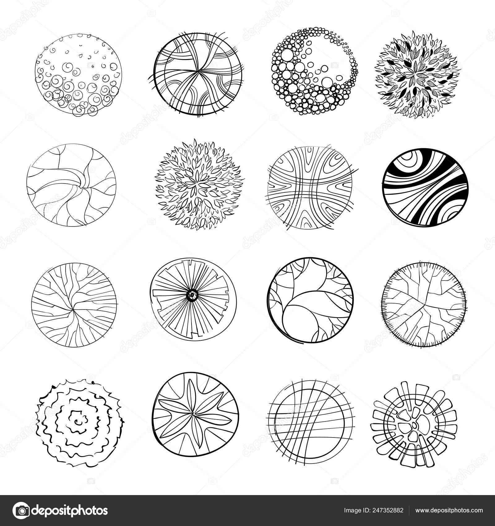 Set Hand Drawn Trees Plan Stock Vector by ©AVD_88 #247352882 Set Hand Drawn Trees Plan Stock Vector by ©AVD_88 #247352882
