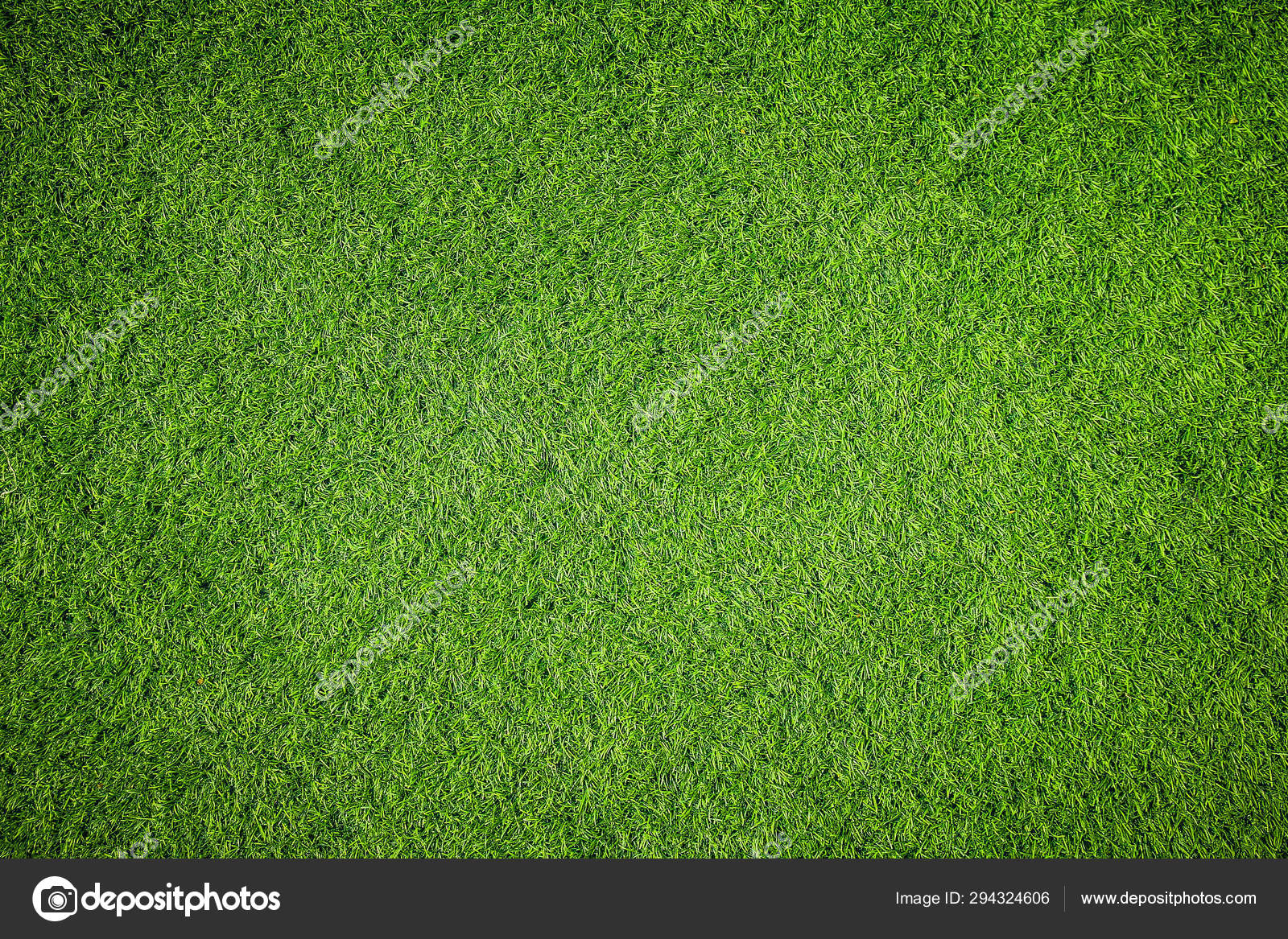 Grass Background Photoshop